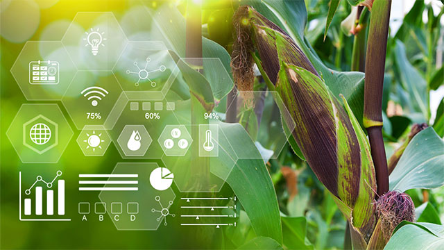 Top 10 Ways Technology Can Make a Difference in Food Safety – ANFP TV